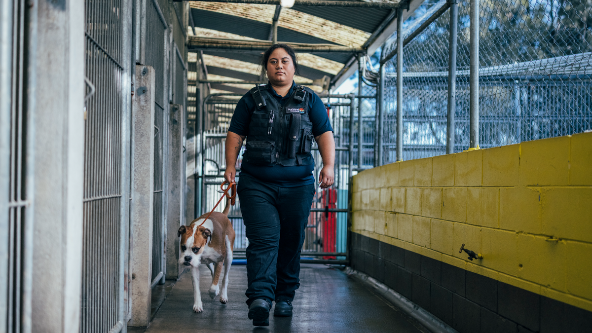 Who let the dogs out? New campaign shows the impact of letting dogs ro ...