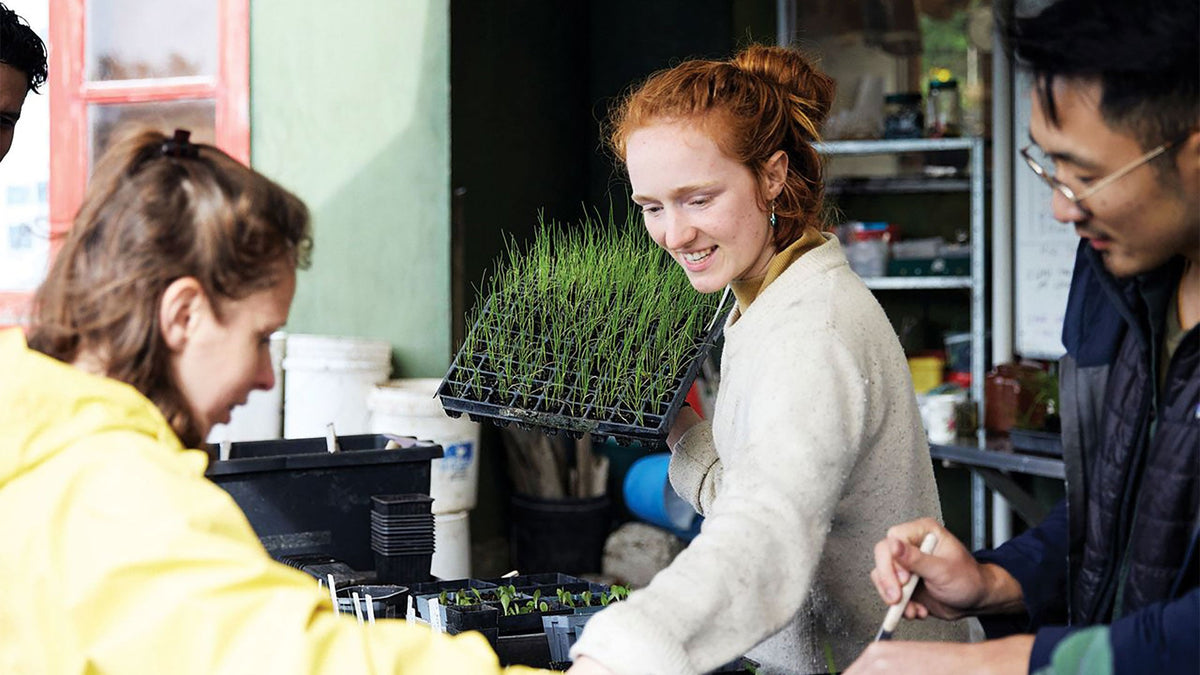 Springtime in the Market Garden at Kelmarna Community Farm – Ponsonby News
