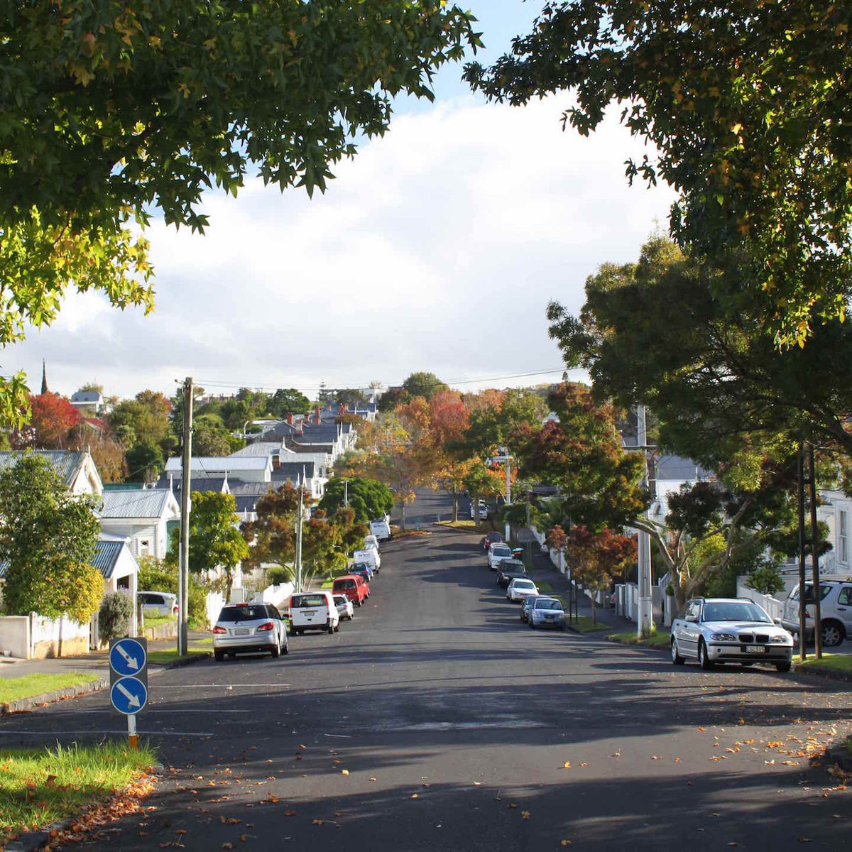 Waitemata Local Board gets going – Ponsonby News