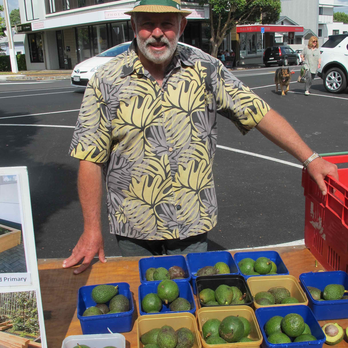 Greg Moyle Throws Hat In Ring For Local Board Election – Ponsonby News
