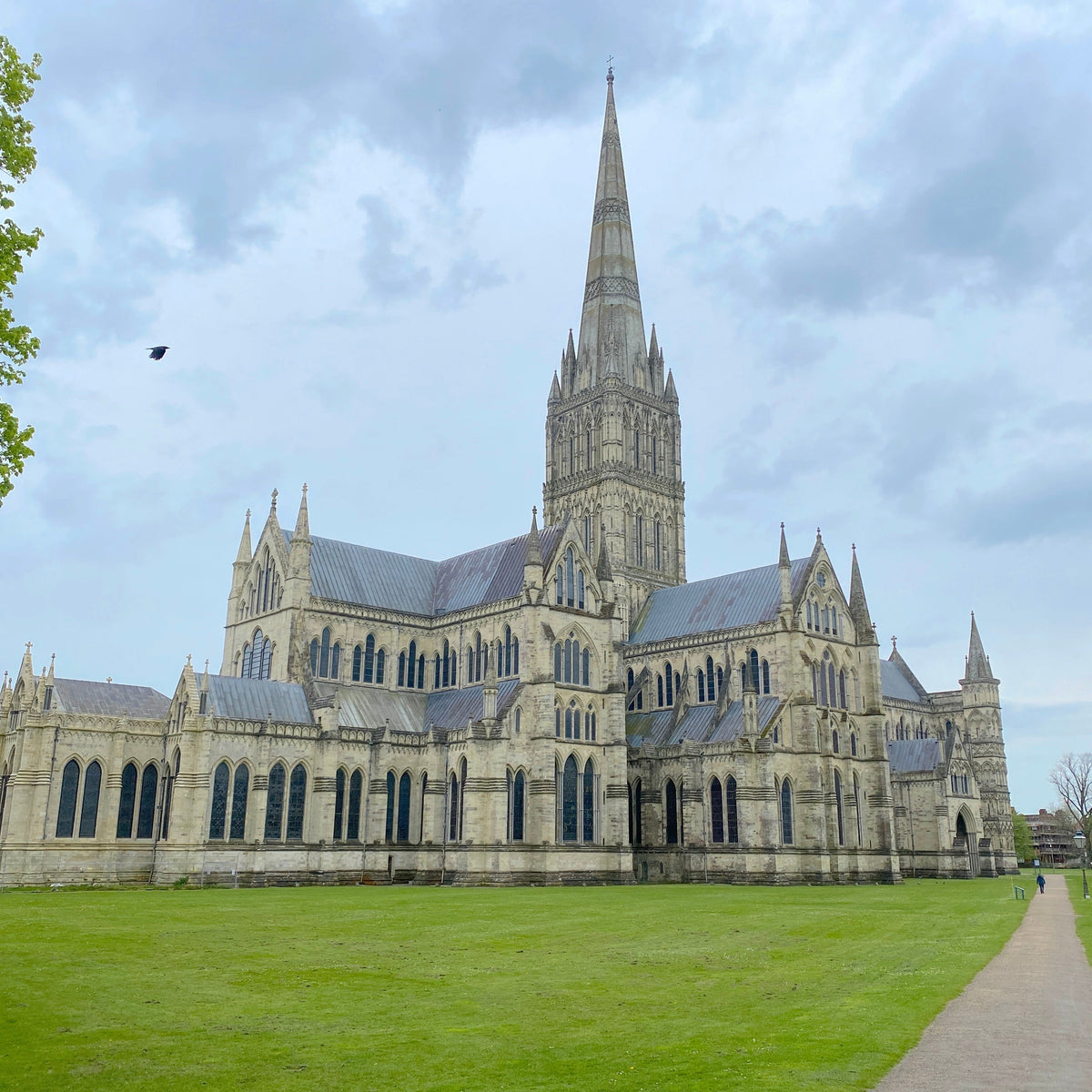ROSS THORBY: Home to one of the four remaining Magna Cartas – Ponsonby News