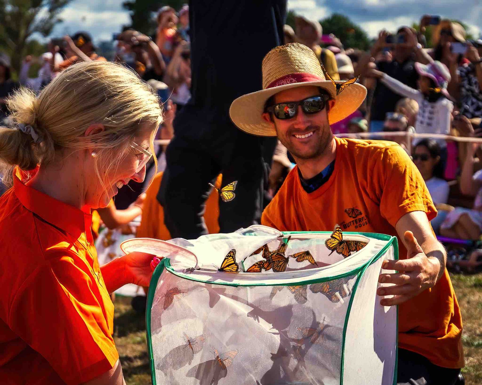 Epic monarch butterfly release returns to Auckland Botanic Gardens ...