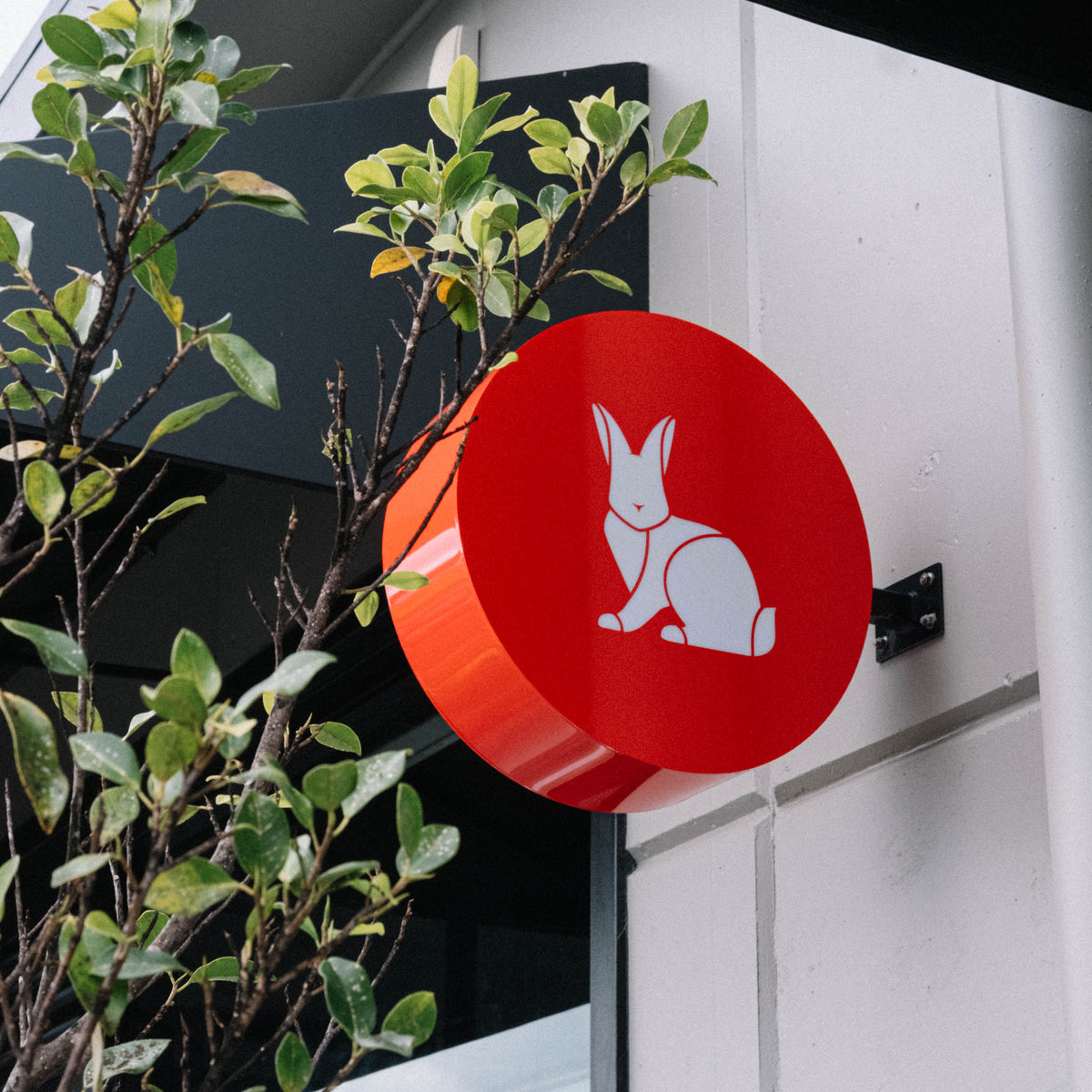 Red Rabbit Brings Roasting Back. – Ponsonby News