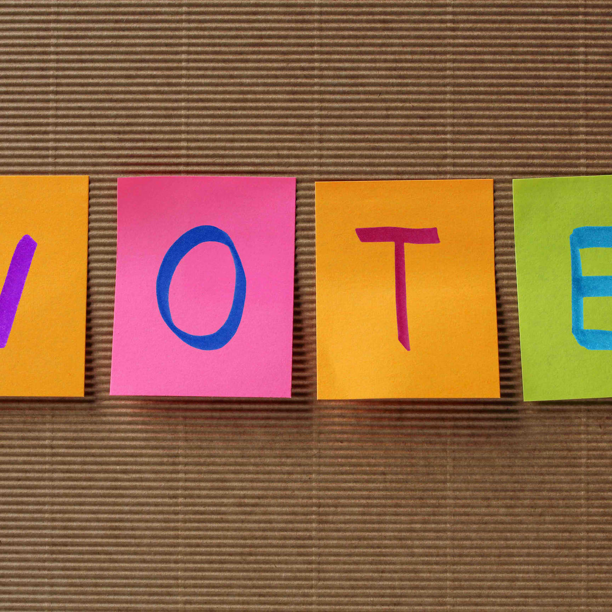 Voting begins in three Auckland by-elections – Ponsonby News