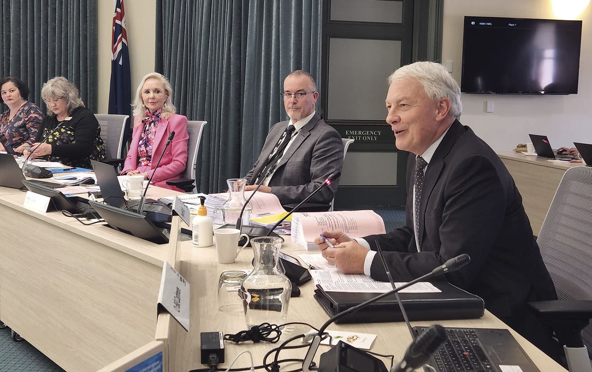 Pippa Coom - Waitemata Local Board Report – Ponsonby News