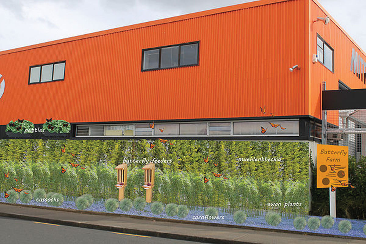 The new buzz around Auckland City – Ponsonby News