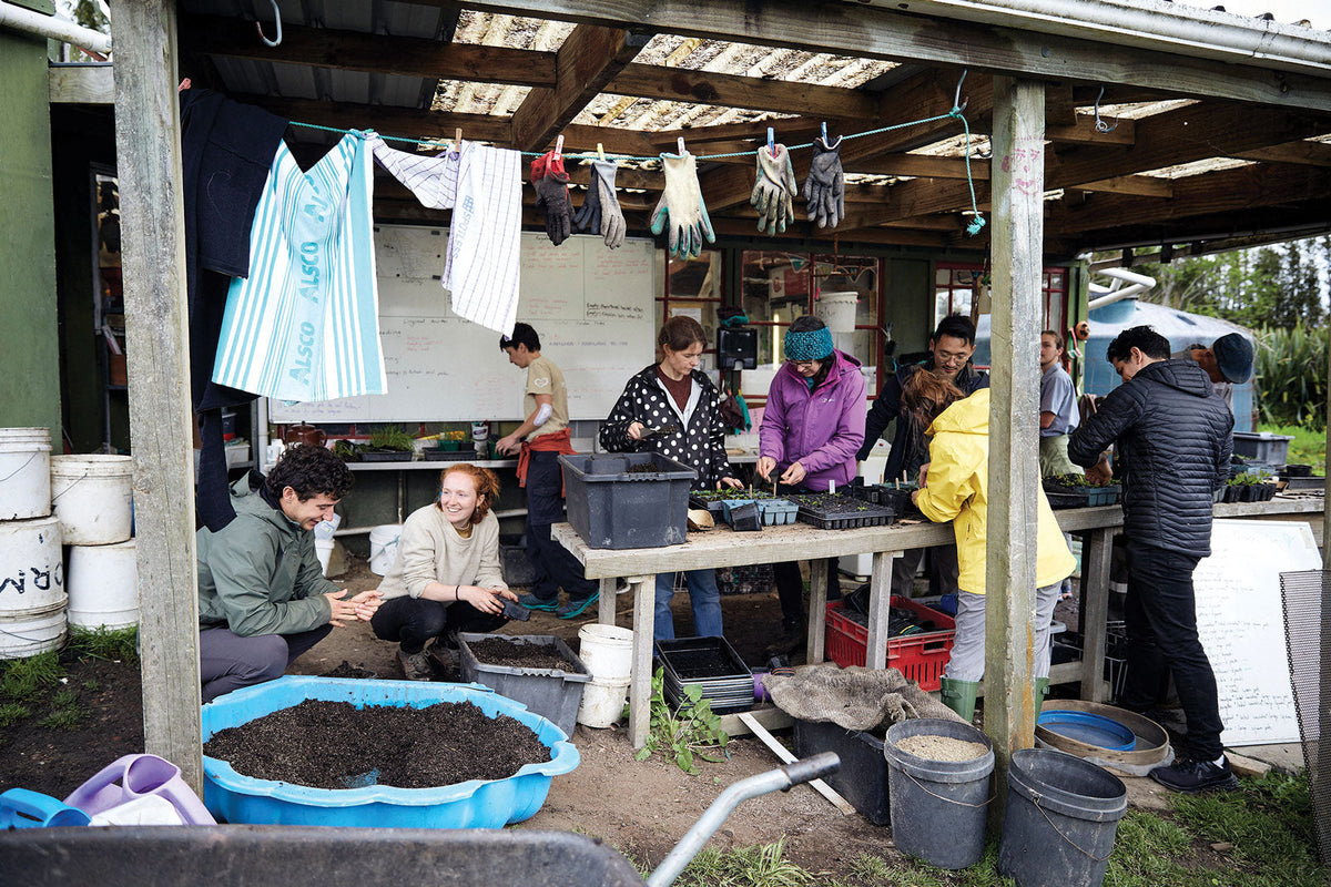 Kelmarna Gardens – an amazing community asset – Ponsonby News