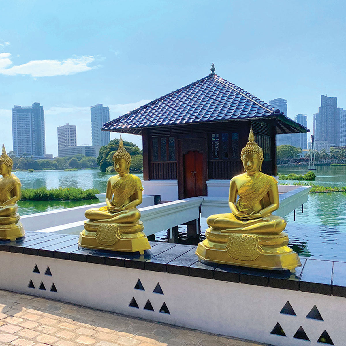 Ross Thorby: Sri Lanka – Ponsonby News