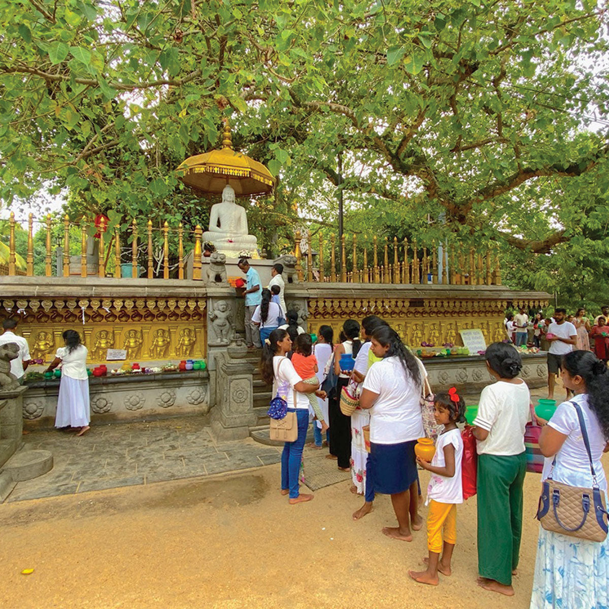 Ross Thorby: “A being who strives for enlightenment” – Ponsonby News