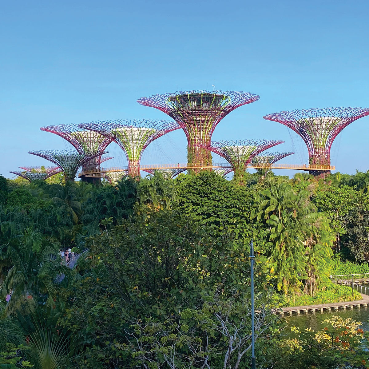 Ross Thorby: Singapore – Ponsonby News