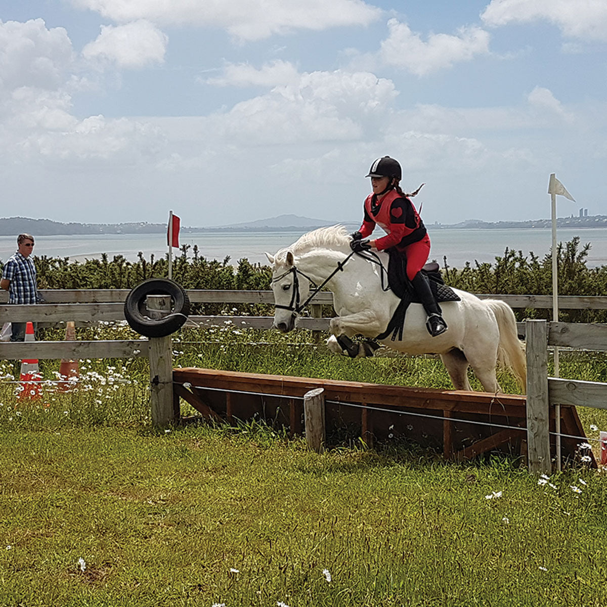 For pony-mad Ponsonby kids – Ponsonby News